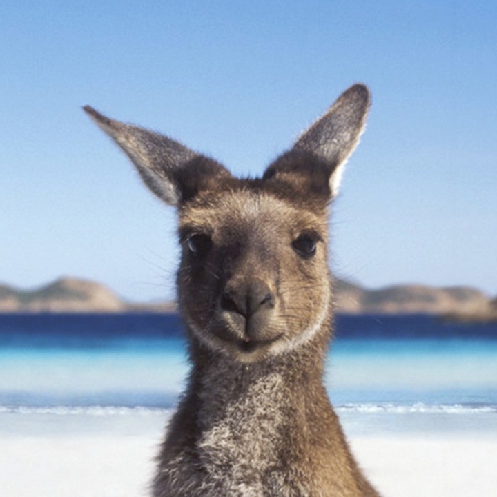 Top 20 Tiktok Influencers in Australia: Find Australian TikTokers