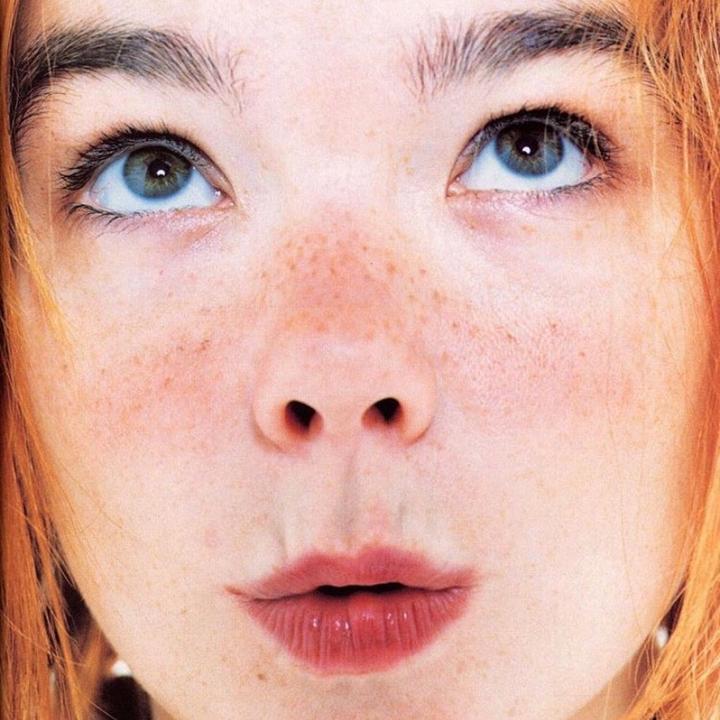 michael - @stunmic TikTok 分析 | プロフィール、動画 、 ハッシュタグ | Exolyt