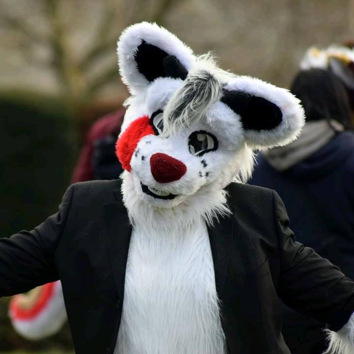 Ace Carter - @ace_carter TikTok Analytics | Profile, videos & hashtags ...