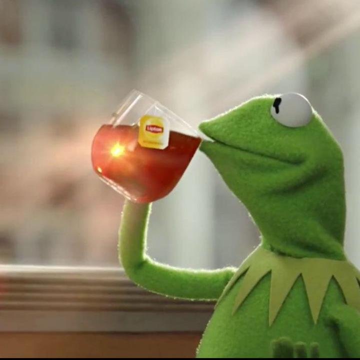 Kermit and Kevin - @ya_boy_kermit TikTok Analytics | Profile, videos ...