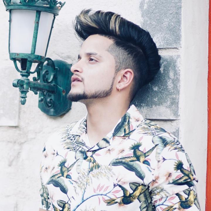 Tushar Arora - @tushararoraofficial TikTok Analytics | Profile, videos & hashtags | Exolyt