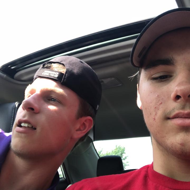 Colty - @colty_ TikTok Analytics | Profile, videos & hashtags | Exolyt