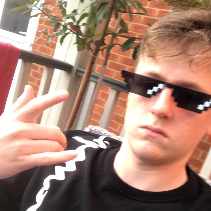 Cameron - @gillespie._c TikTok Analytics | Profile, videos & hashtags ...