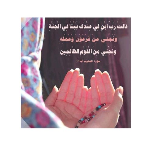 نور الهدى 😢🌠- @0plk TikTok 分析|プロフィール、動画、ハッシュタグ | Exolyt