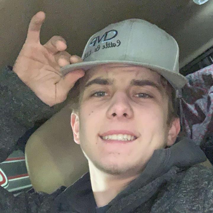 Tyler Werner - @tylerwerner TikTok Analytics | Profile, videos ...