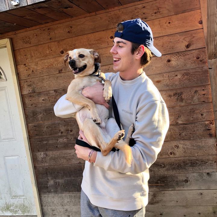 Amel hamzic - @mel_hamzic TikTok Analytics | Profile, videos & hashtags ...