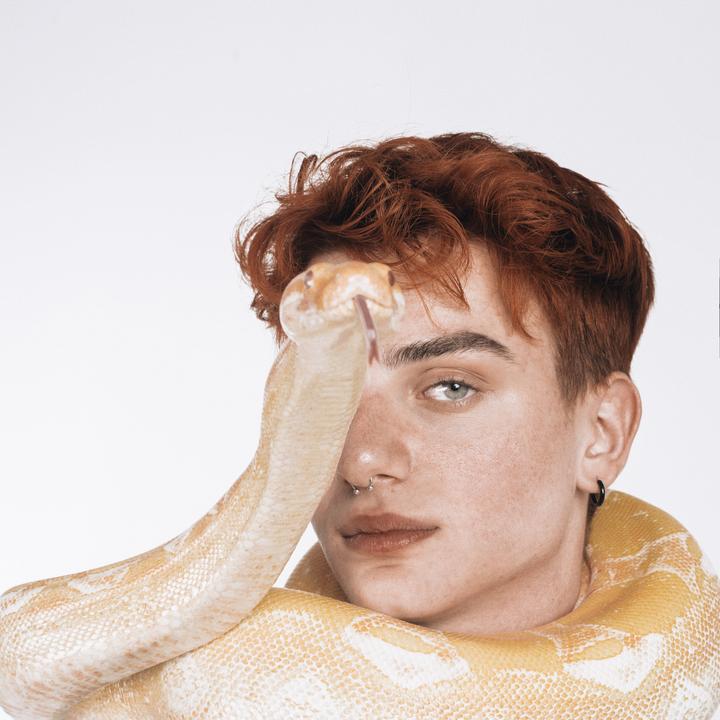 gingerbread_bae - @tzintzeropswmo_mwro TikTok Analytics | Profile ...