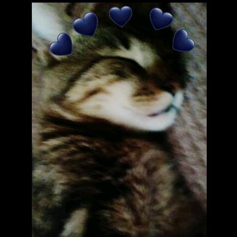 Agus Soria - @akira_7w7 TikTok Analytics | Profile, videos & hashtags ...