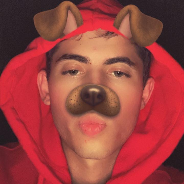 Guillermo Fletes - @wildtube TikTok Analytics | Profile, videos ...