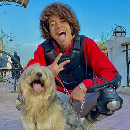 Shawar - @omar_shawar TikTok Analytics | Profile, videos & hashtags ...