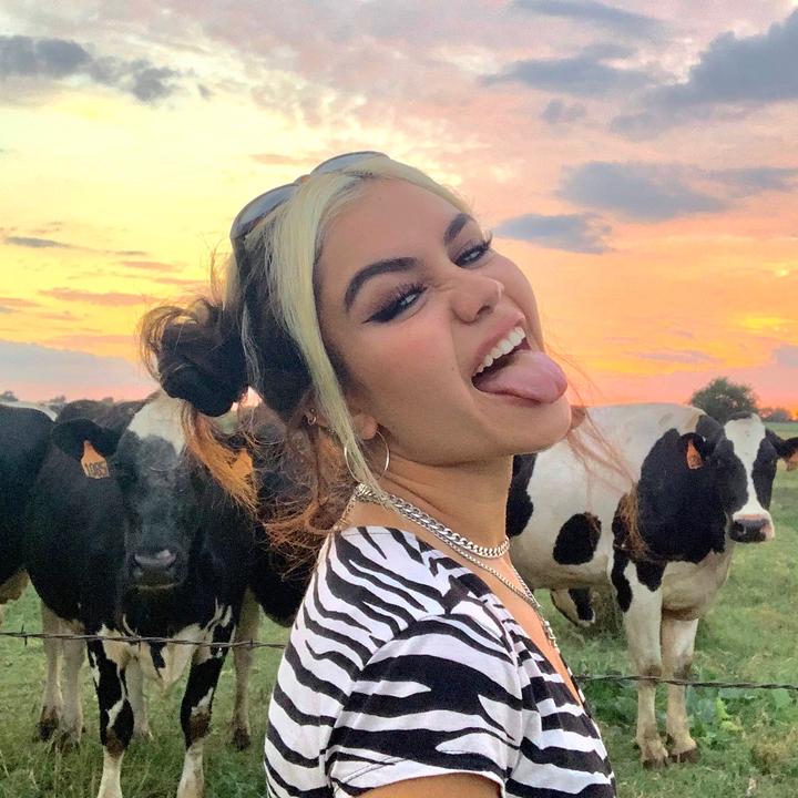 Tarayummy - @tarayummy TikTok Analytics | Profile, videos & hashtags ...