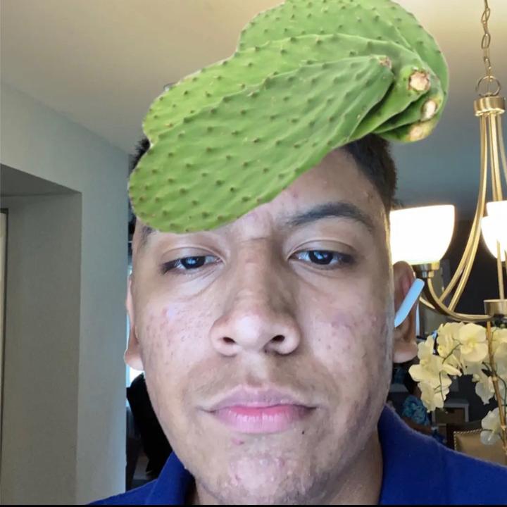 Most hated nopal 🌵 - @el_mexican_cuh TikTok Analytics | Profile, videos ...