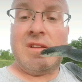 Dave Odd - @eattheneighborhood TikTok Analytics | Profile, videos ...