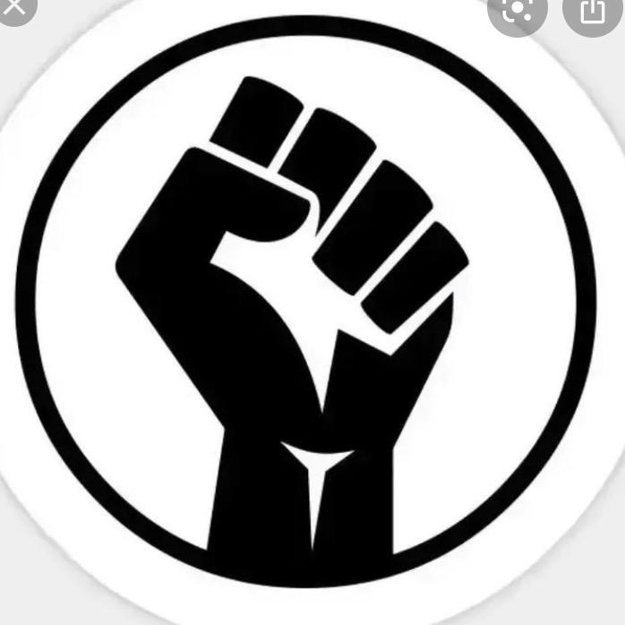 Lilien Wolfhard - @timari.lilien TikTok Analytics | Profile, videos ...