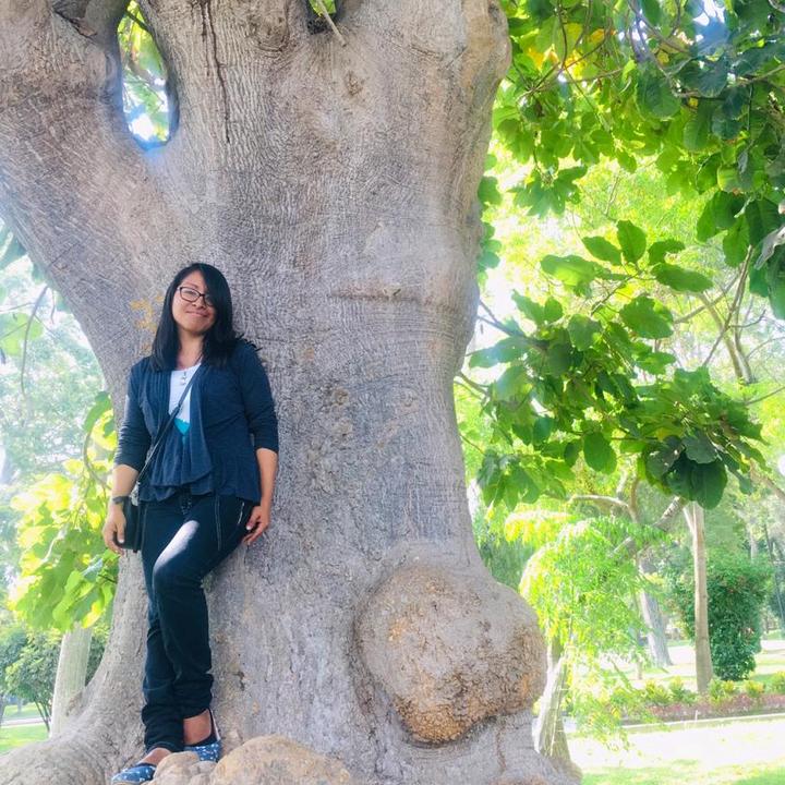 Nayleth Canales - @jcnayleth TikTok Analytics | Profile, videos ...