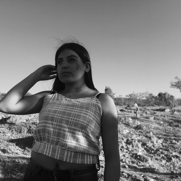 Diana Rea - @dianarea6 TikTok Analytics | Profile, videos & hashtags ...