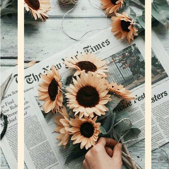 Em - @xox_emily_hannah_xox TikTok Analytics | Profile, videos ...