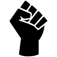 Hailey ☀️ - @walsh_hailey TikTok Analytics | Profile, videos & hashtags ...