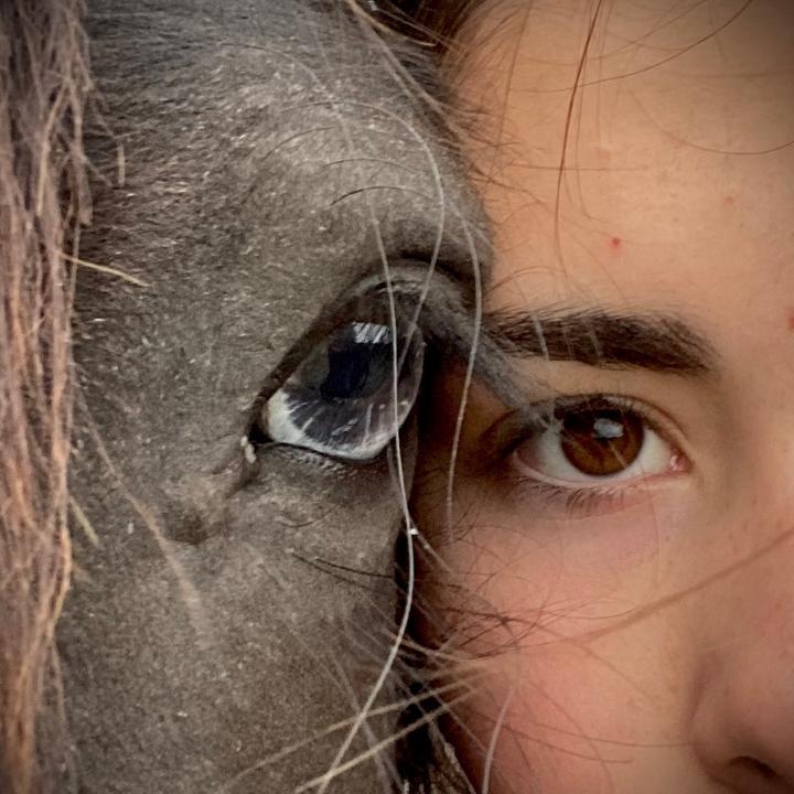 Maya - @maya.garnier28 TikTok Analytics | Profile, videos & hashtags ...