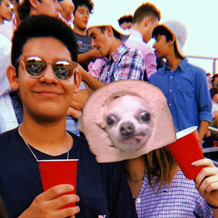 Angel Campa - @angel_campa TikTok Analytics | Profile, videos ...