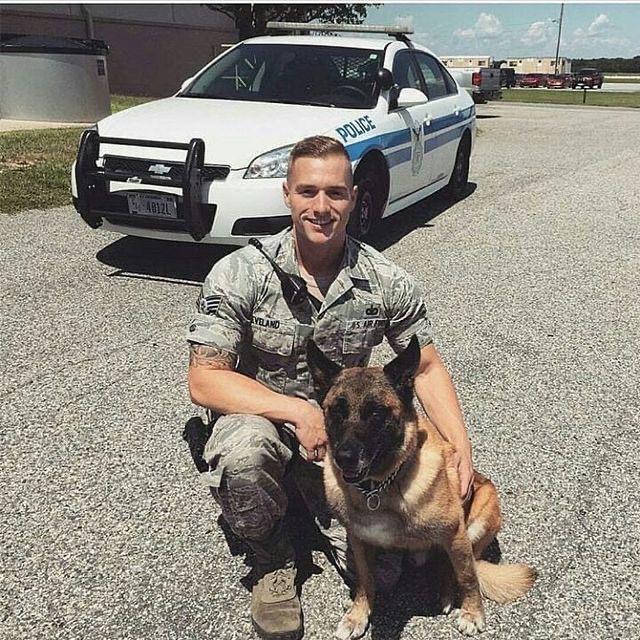 Josh - @marine.corp.josh TikTok Analytics | Profile, videos & hashtags ...