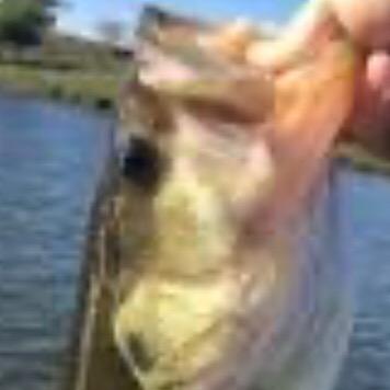 Hunting Fishin - @hunting_fishing_team TikTok Analytics | Profile, videos & hashtags | Exolyt