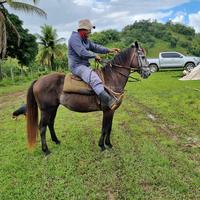 Poloninho - som original - Poloninho | TikTok