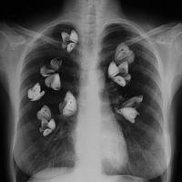 SHADOLLA — оригинальный звук - SHADOLLA | TikTok