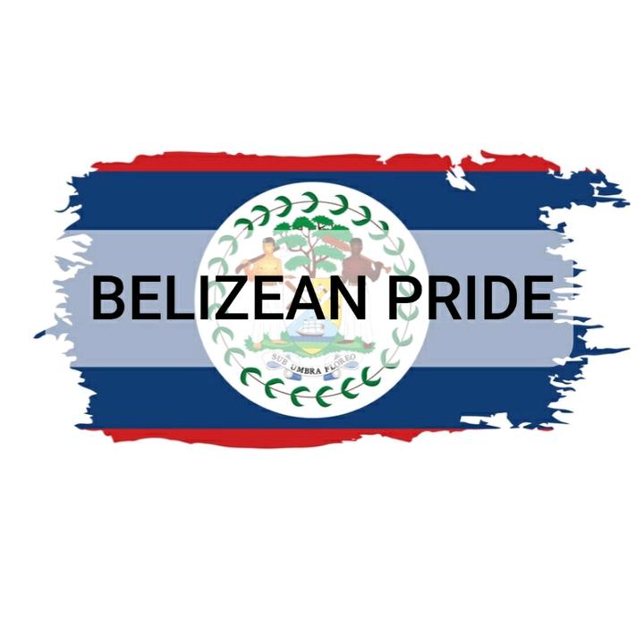 Top 20 Tiktok Influencers in Belize: Find Belizean TikTokers