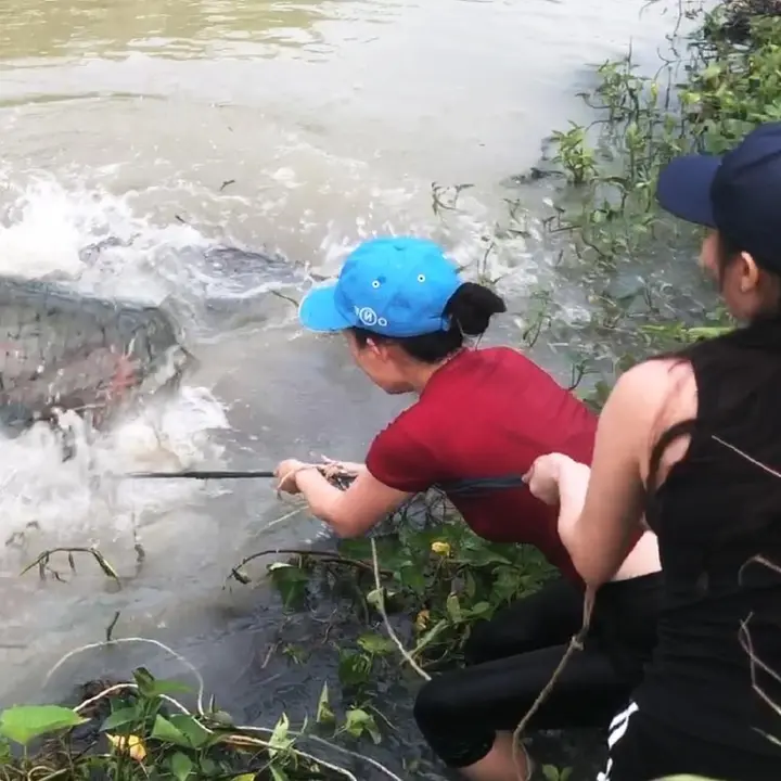 Girls Fish Too!- @girlslovefishingtoo TikTok 分析|プロフィール、動画、ハッシュタグ | Exolyt