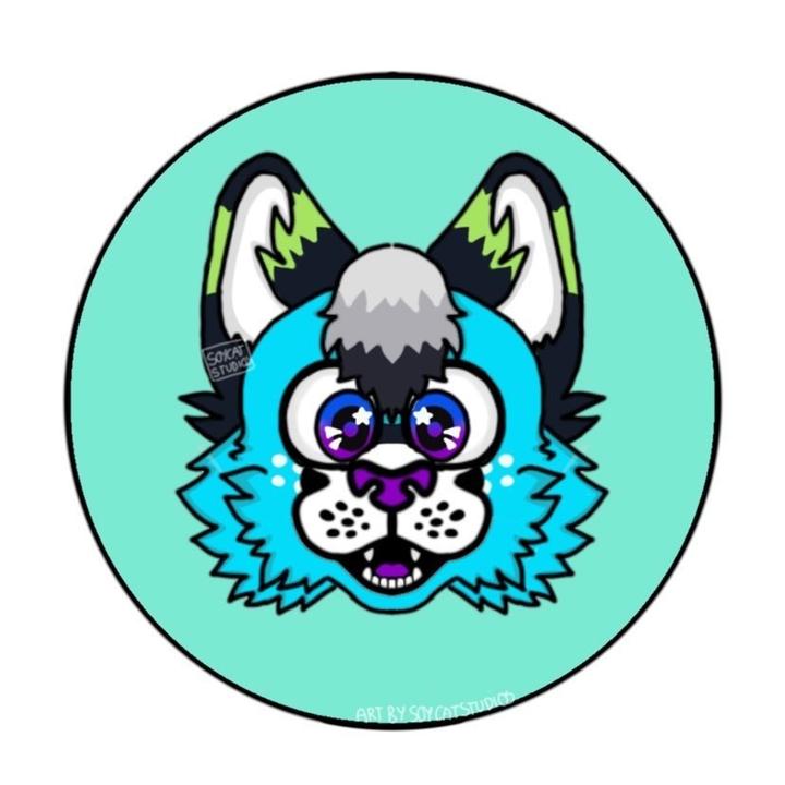 🦄 @macca_pacca_more - Macca Pacca - TikTok