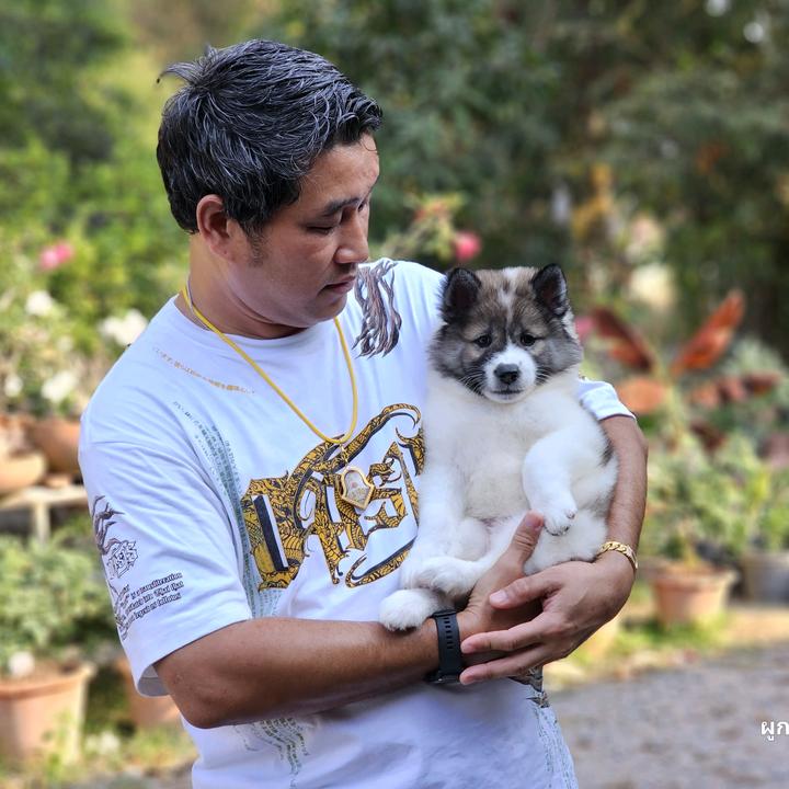 Top 20 Tiktok Influencers in Thailand: Find Thai TikTokers