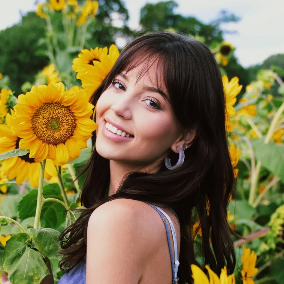 Dashboard | tokchart