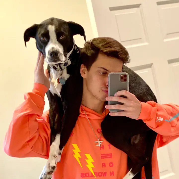 Cizzorz - @cizzorz TikTok Analytics | Profile, videos & hashtags | Exolyt