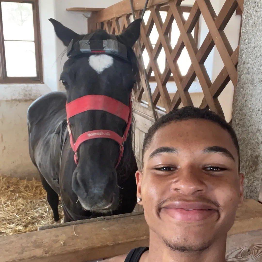 nashawnabi - @nashawnabi TikTok Analytics | Profile, videos & hashtags ...