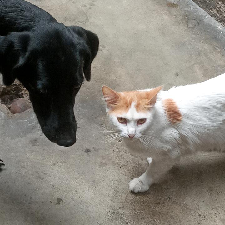 #kylinkalani - TikTok Hashtag